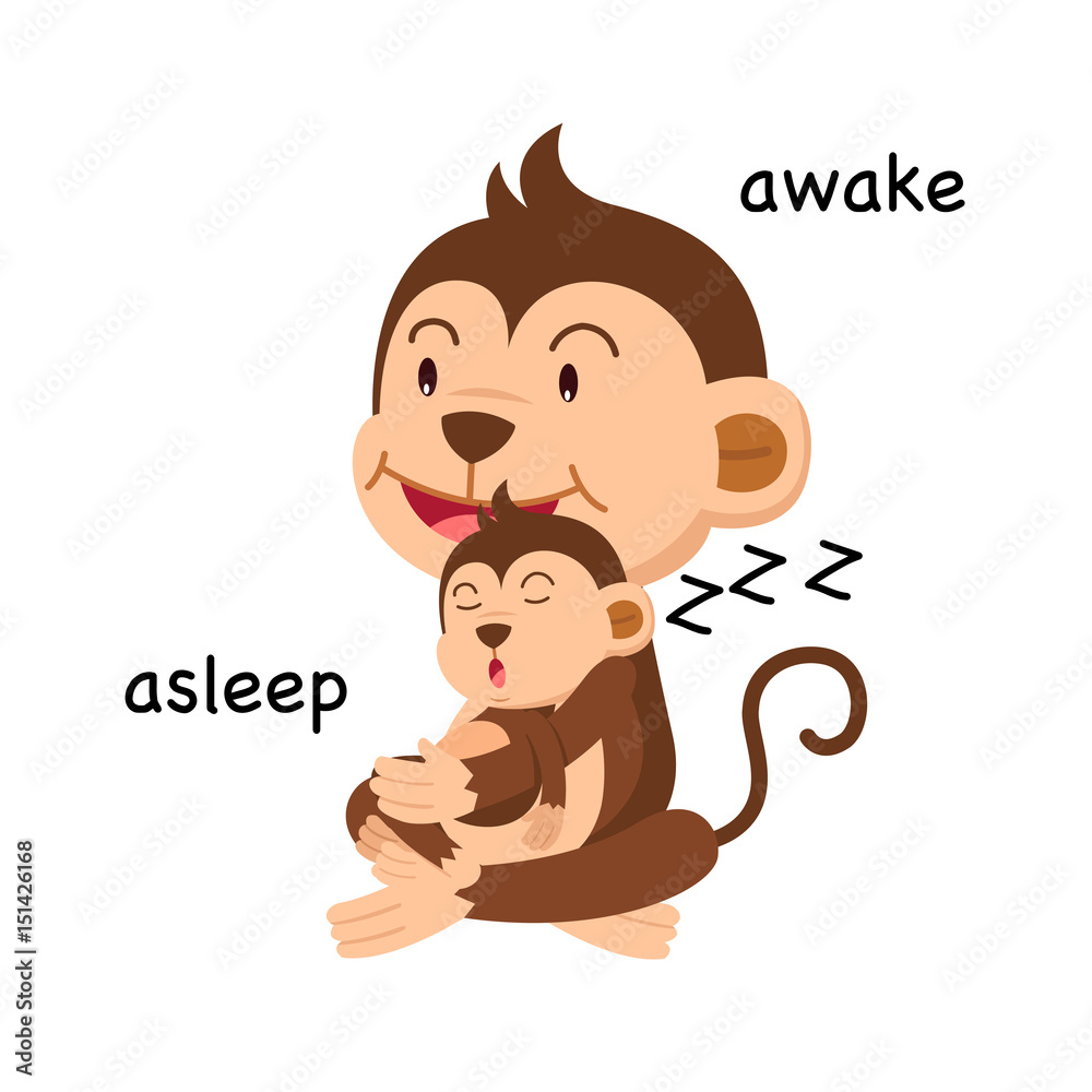 Opposite words asleep and awake vector Stock Vector | Adobe Stock