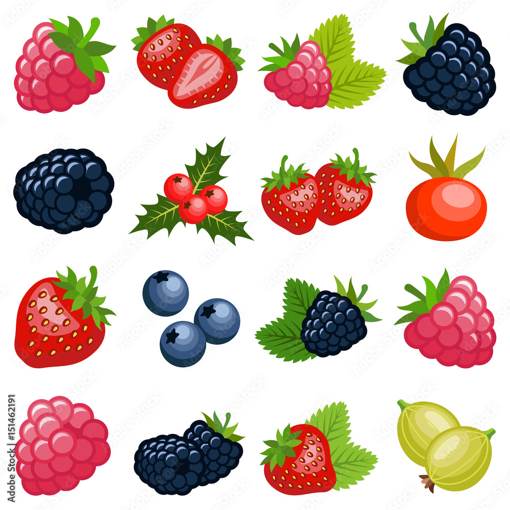 Berry fruit collection - vector color illustration Stock Vector | Adobe ...