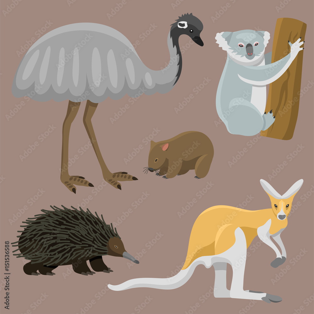 Australia wild animals cartoon popular nature characters flat style ...