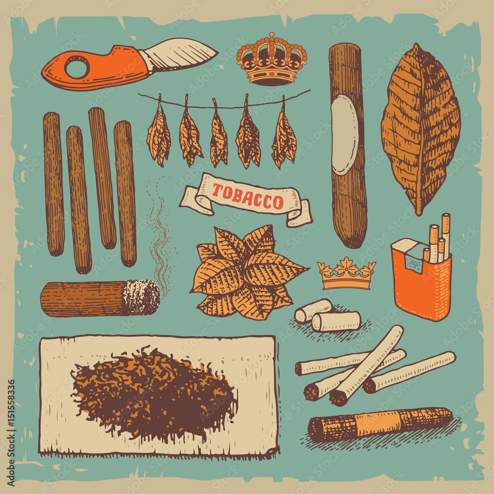 Vector illustrated tobacco products Stock Vector | Adobe Stock