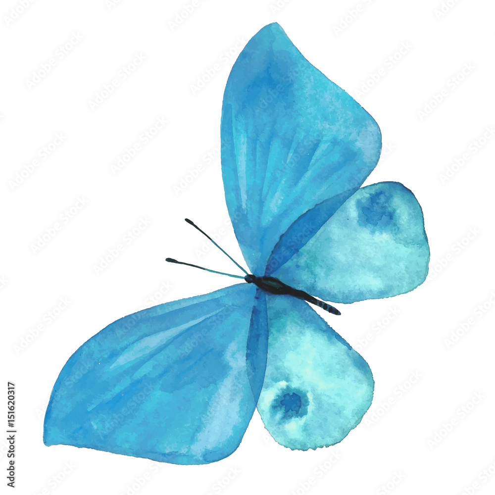 Picture watercolor light blue butterfly Stock Vector | Adobe Stock