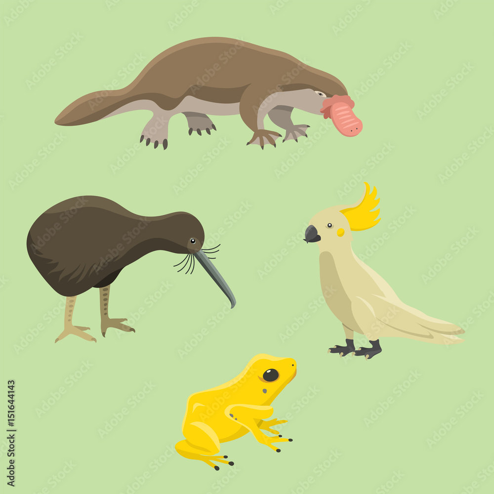 Australia wild animals cartoon popular nature characters flat style ...