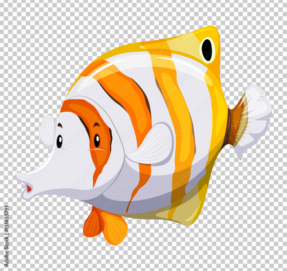 Cute fish on transparent background Stock Vector | Adobe Stock