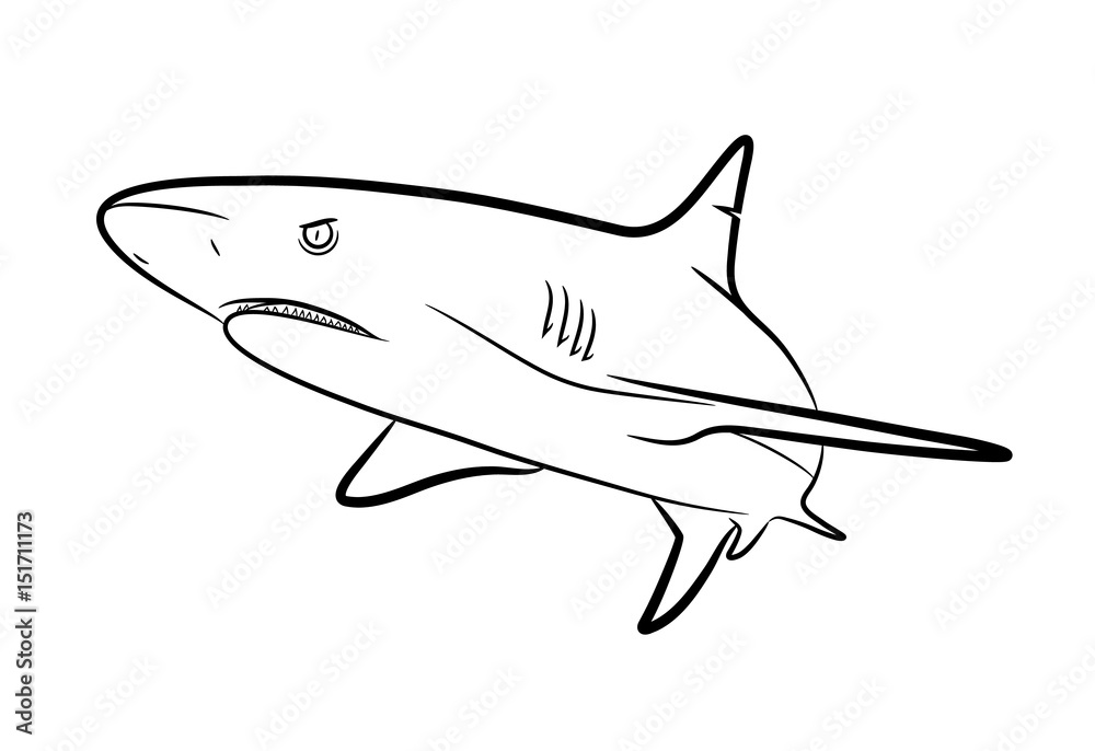 Shark Line Art, a hand drawn vector Cartoon Illustration of a shark ...