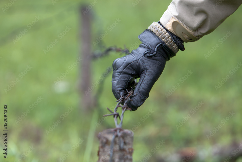 Hand in military glove and barbed wire Stock Photo | Adobe Stock