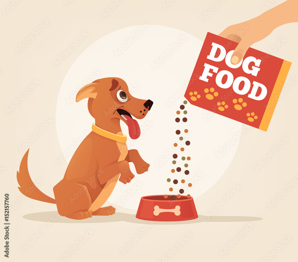 Owner hold carton box with food and feeding his happy smiling dog ...