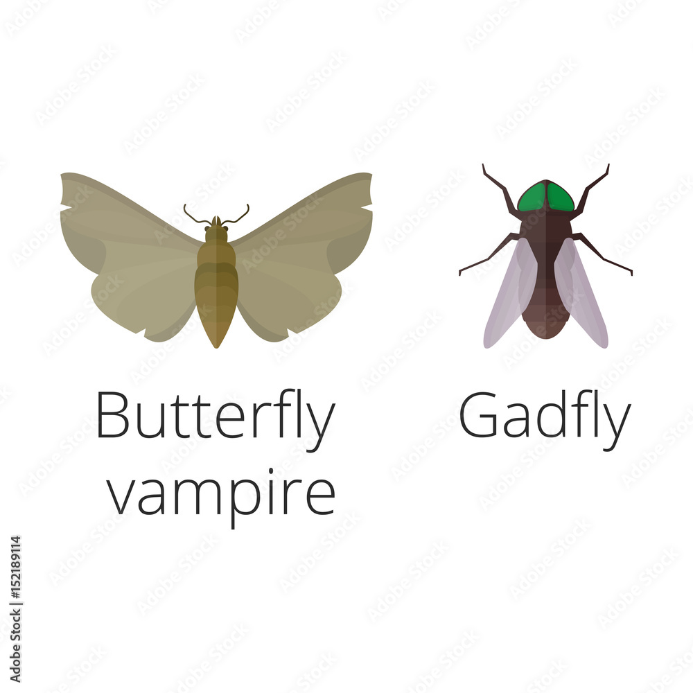 Colorful insects icons isolated wildlife wing detail summer worm ...