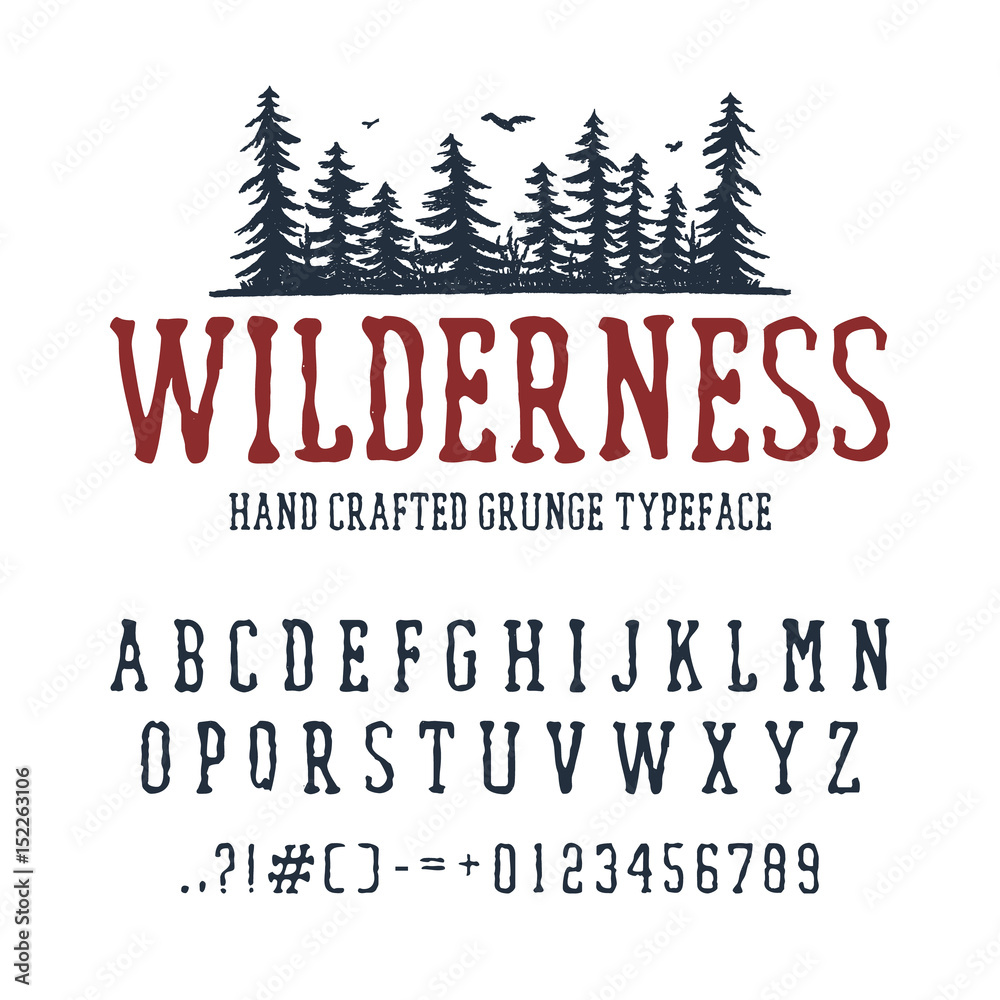 Hand drawn Wilderness font. Latin alphabet vector letters, numbers, and ...