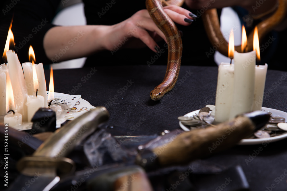 snake crawling on a table on which to place ritual Stock Photo | Adobe ...
