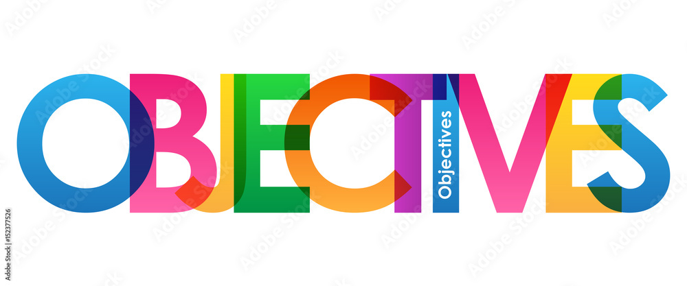 OBJECTIVES Vector Icon Stock Vector | Adobe Stock