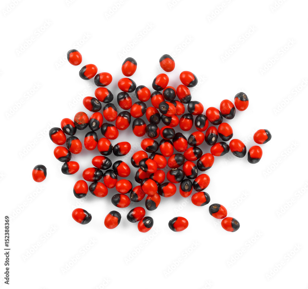 Jequirity seeds,Abrus precatorius L. on white background Stock Photo ...