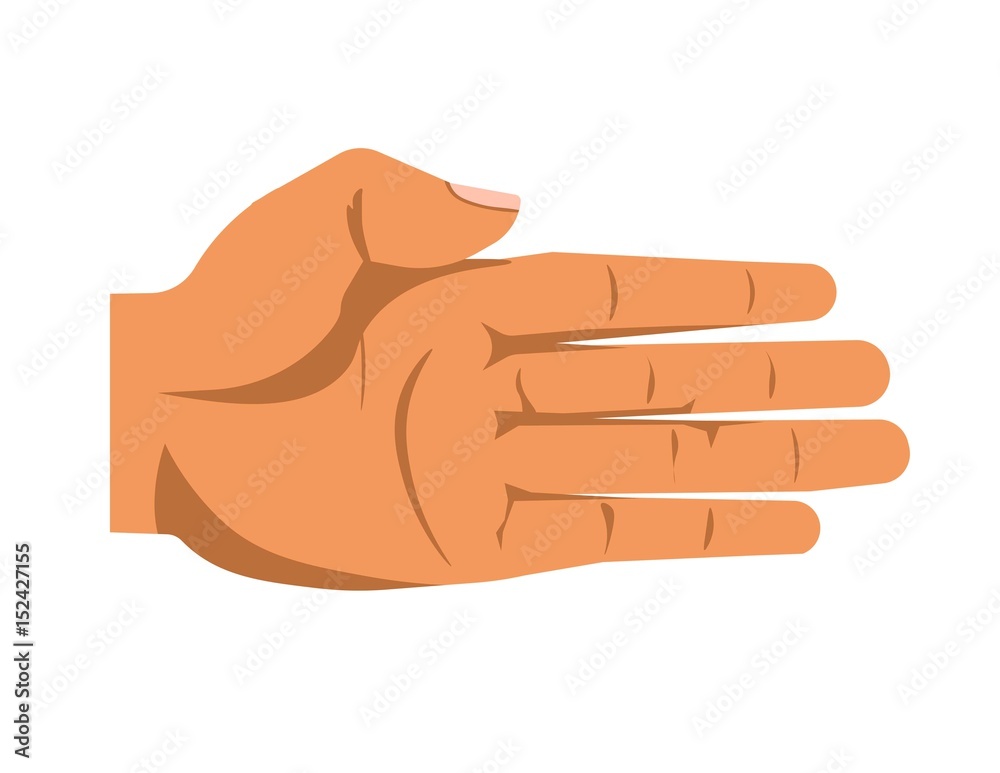 Open human palm isolated on white vector illustration Stock Vector ...