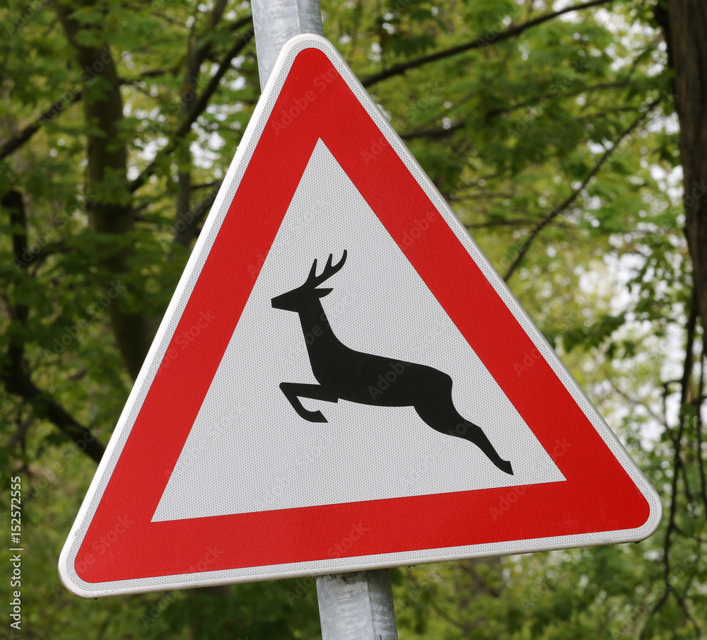 Wildwechsel Verkehrszeichen Stock-Foto | Adobe Stock