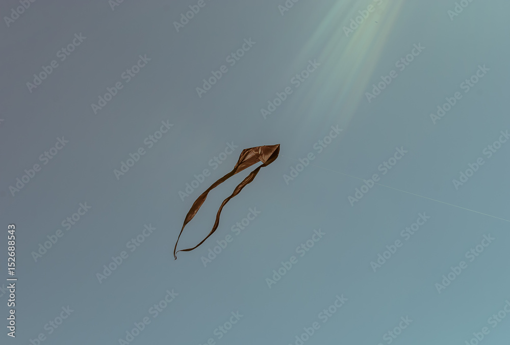 Colorful sky kites waving in the air. Kites billowing gliding flying ...