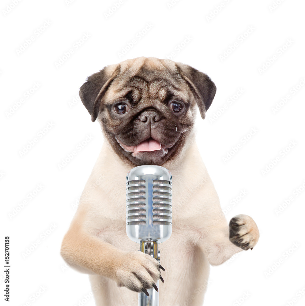 Dog holds retro microphone . Isolated on white background Stock Photo ...