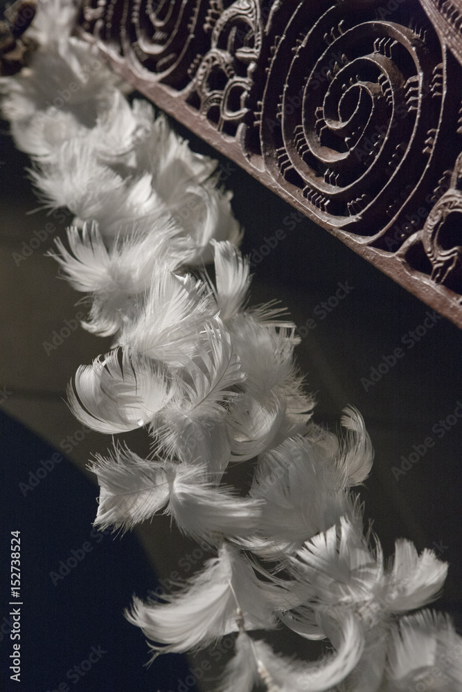 Te pape museum Wellington New Zealand. White feathers. Maori culture ...