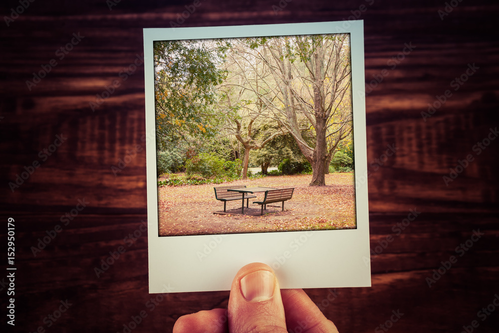 Male hand holding polaroid photo of autumn scene - empty picnic table ...