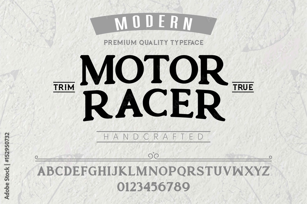 Font.Alphabet.Script.Typeface.Label.Motor Racer typeface.For labels and ...