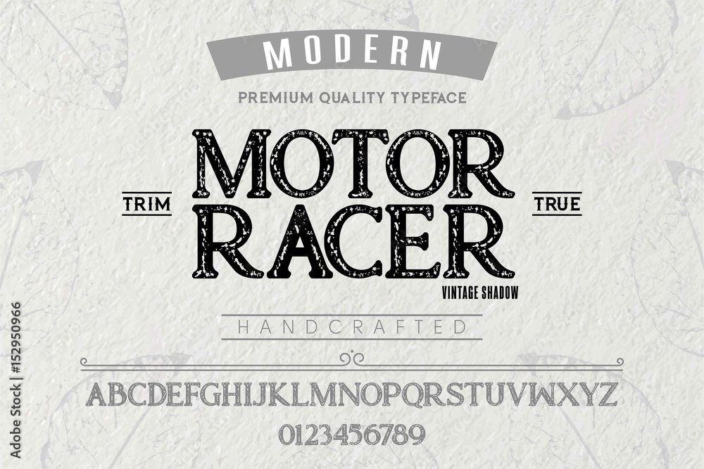 Font.Alphabet.Script.Typeface.Label.Motor Racer vintage shadow typeface ...