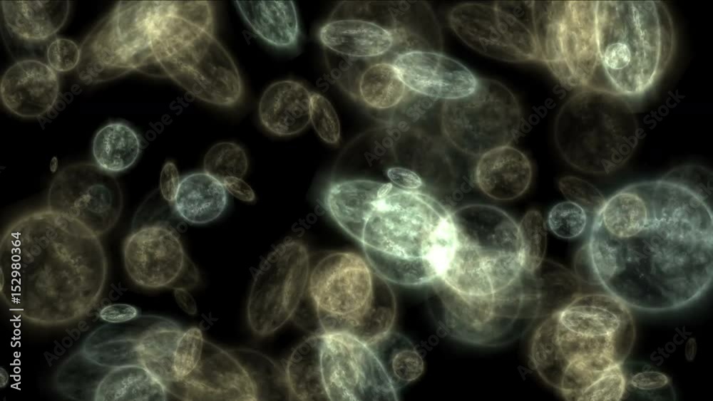 4k Plankton,transparent cells,tiny microbes under Microscope. Stock ビデオ ...