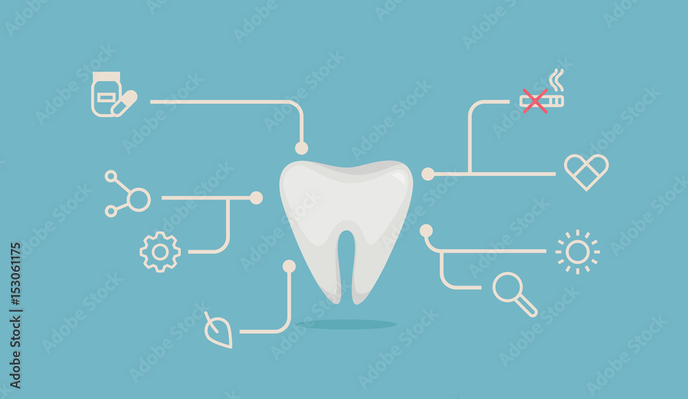 Tooth vector illustration Stock Vector | Adobe Stock