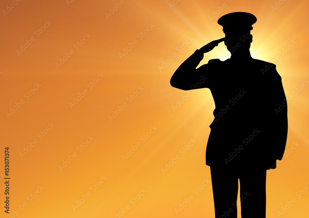 Captain silhouette saluting against sun Stock Photo | Adobe Stock