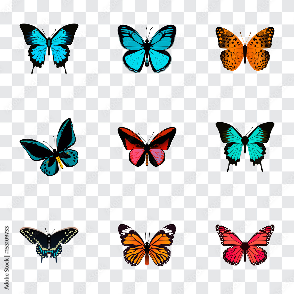 Realistic Morpho Hecuba, Azure Peacock, Demophoon And Other Vector ...