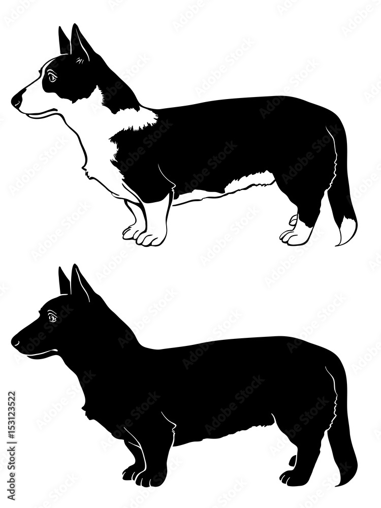 Corgi dog set outline and silhouette vector Stock Vector | Adobe Stock