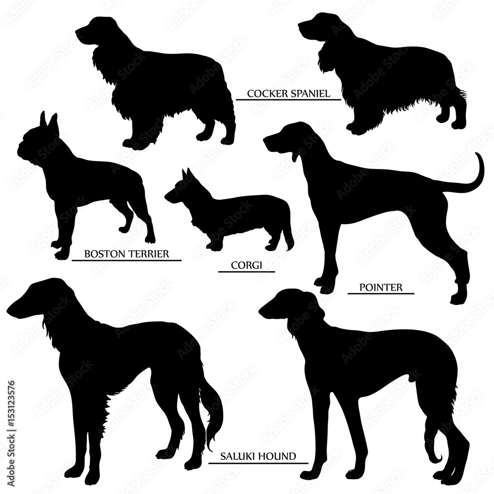 Dog silhouettes set - outline and silhouette vector Stock Vector ...