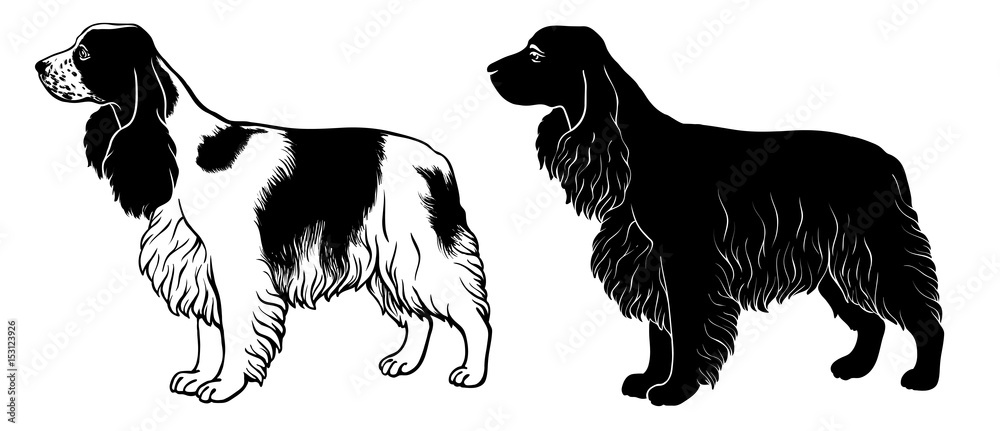 Cocker Spaniel set 2 - outline and silhouette vector Stock Vector ...