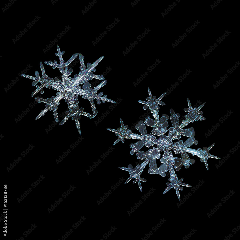 Dendrites Snowflakes
