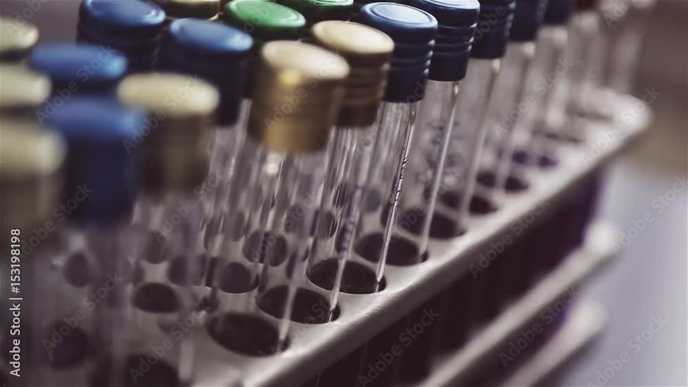 Glass flasks and test tubes stand in metal form in laboratory. Flasks ...