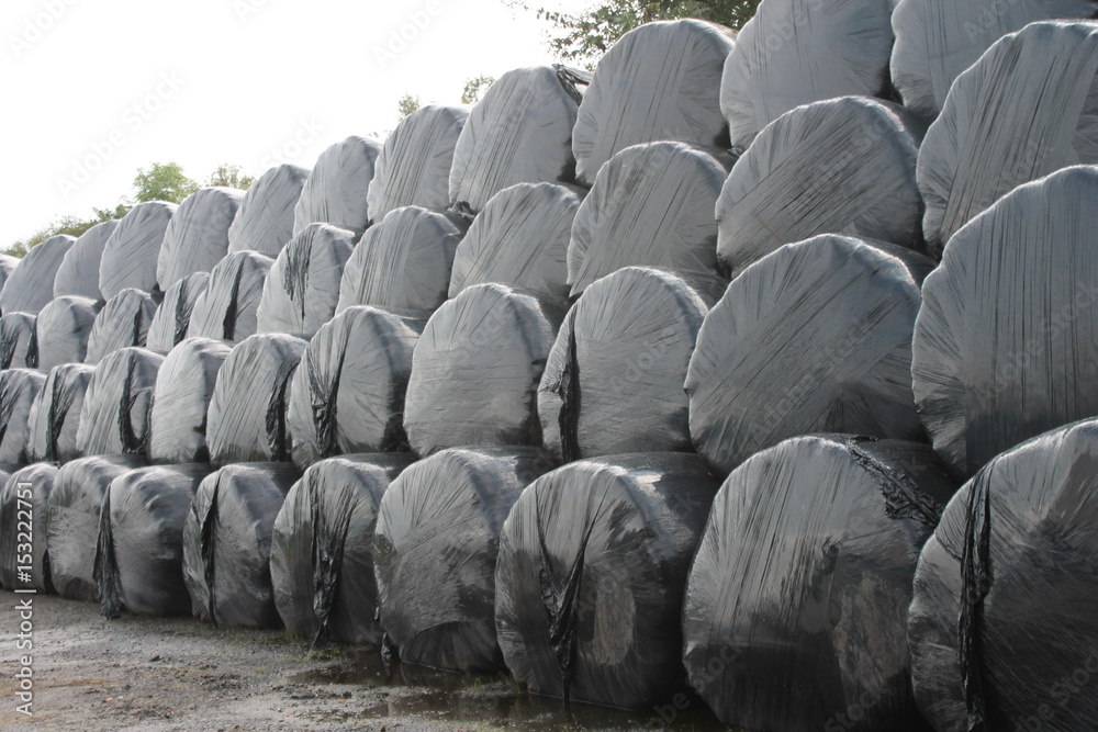 hay bales bagged protected plastic covered silage hay straw bales in ...