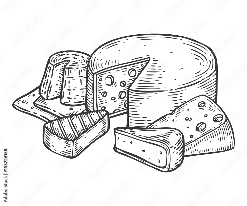 Cheese vector hand drawn set engraving illustration. Other types of ...