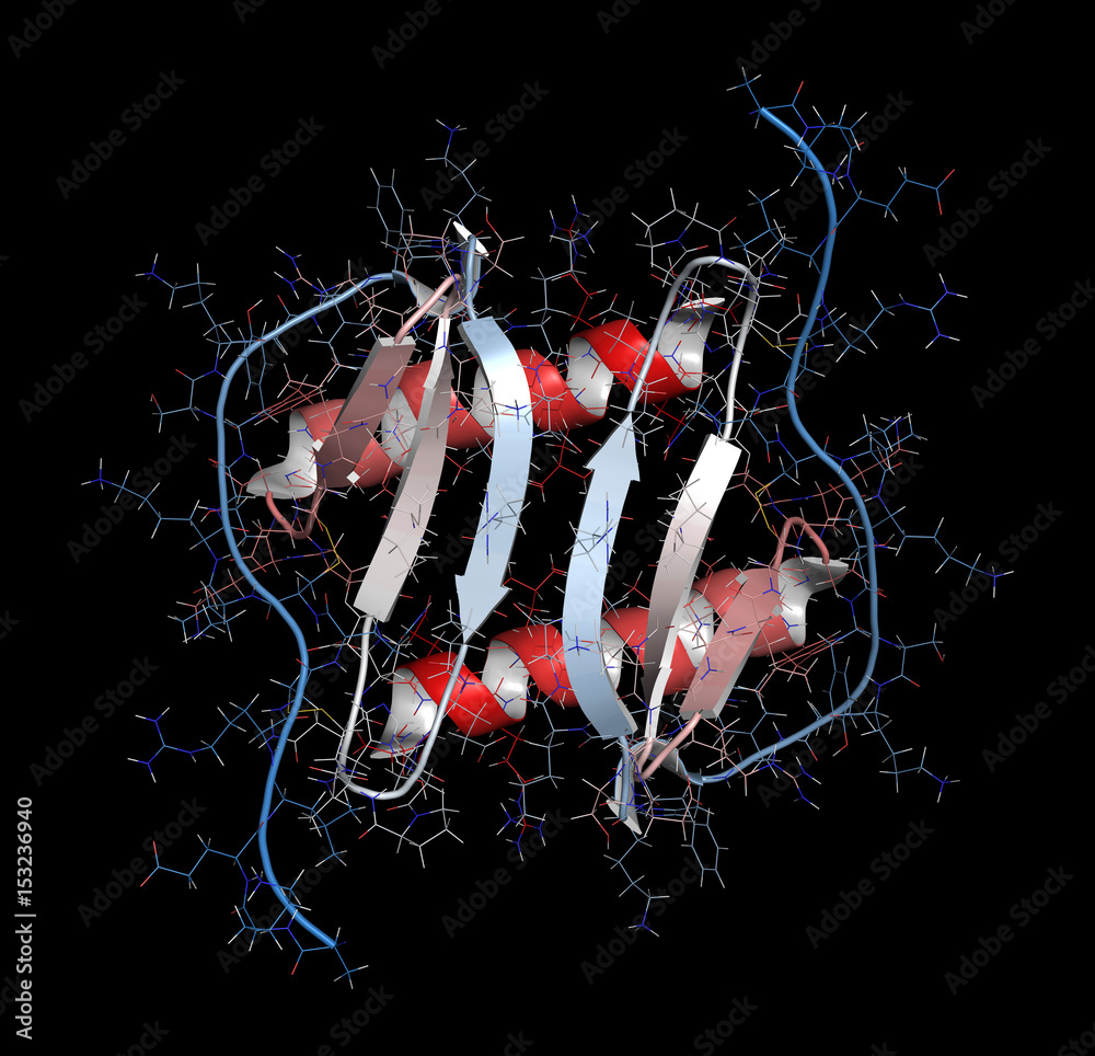 Interleukin 8 (IL-8) cytokine protein. IL8 can be secreted by ...