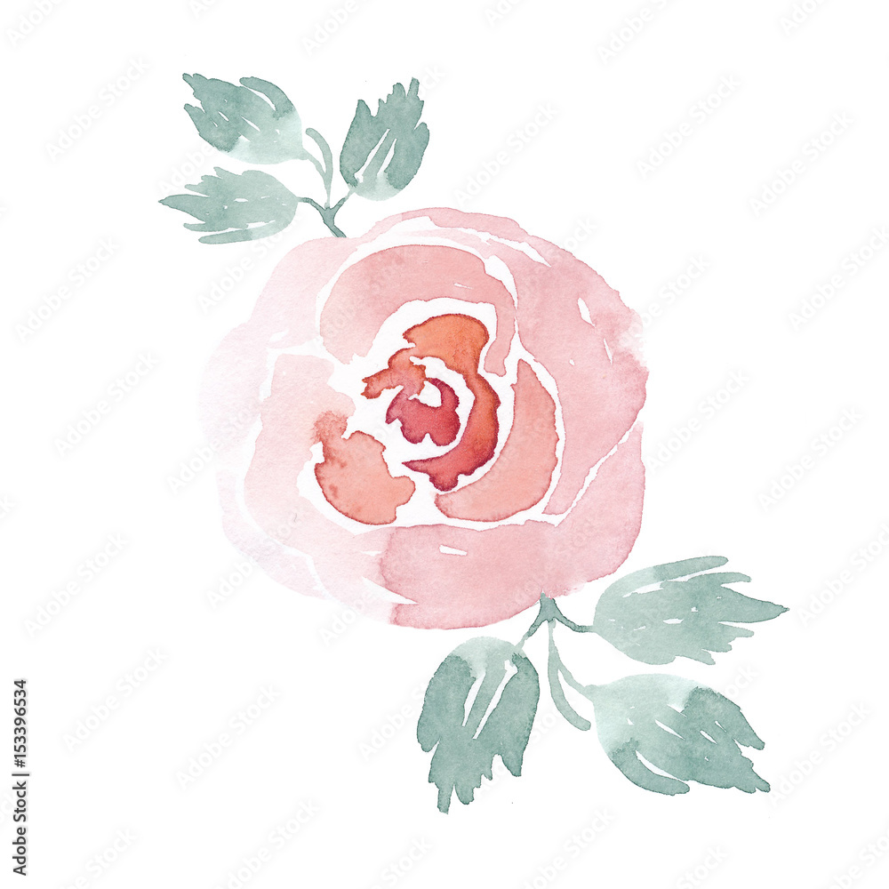Watercolor handpainted rose clipart. Watercolor flowers. Beautiful ...