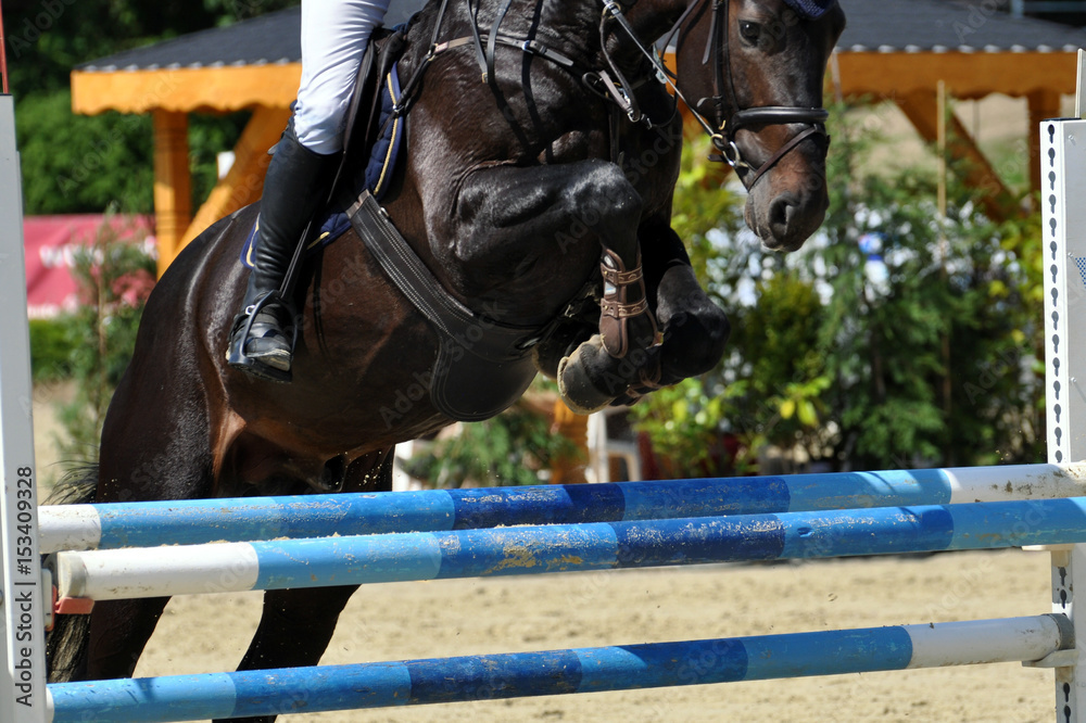 Der Hürdernsprung, das Pferd springt über das Hindernis Stock Photo ...
