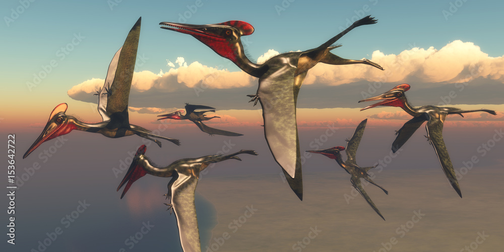 Pterodactylus Pterosaurs in Flight - A flock of Pterodactylus ...