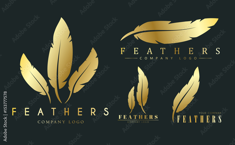 set of gold logos with feathers for writers or publishers. Stock Vector ...