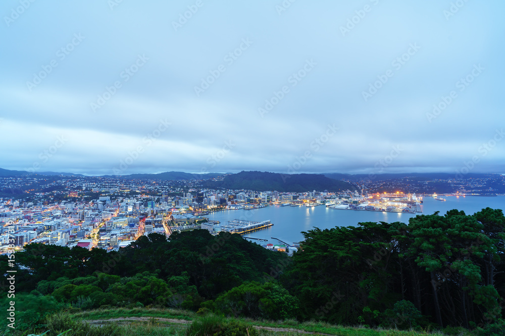 Beautiful scenery from Mount Victoria lookout at dusk in Wellington ...