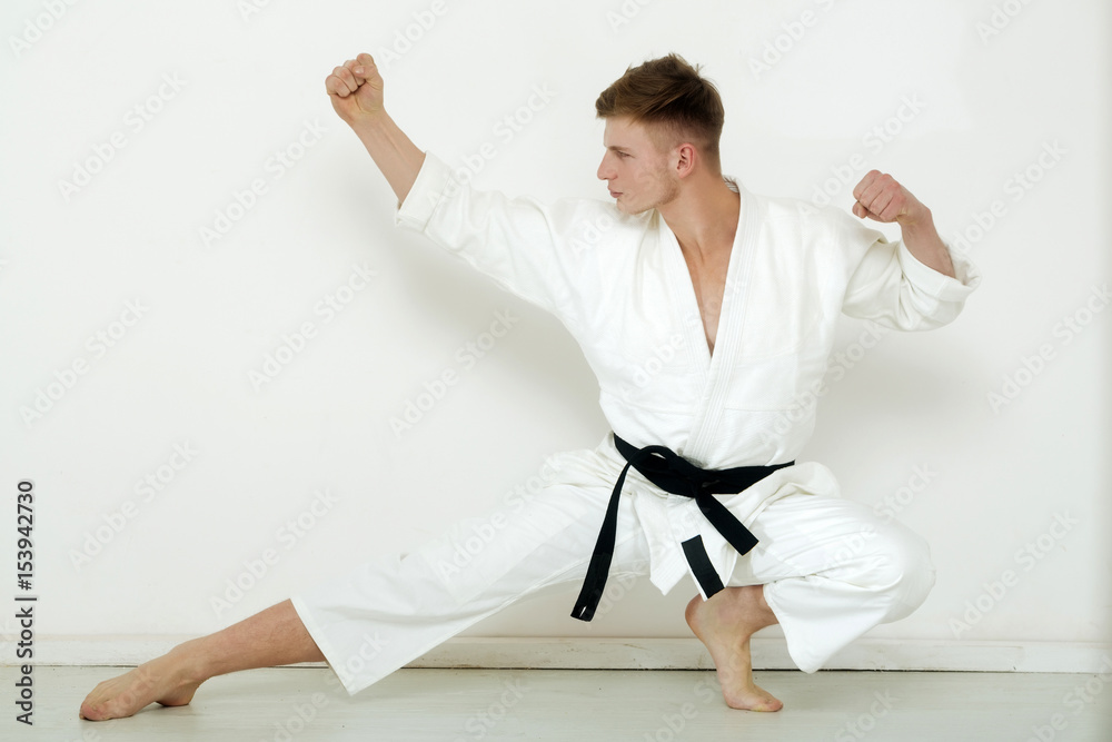 fighter, strong karate posing in low fighting stance Stock 写真 | Adobe Stock
