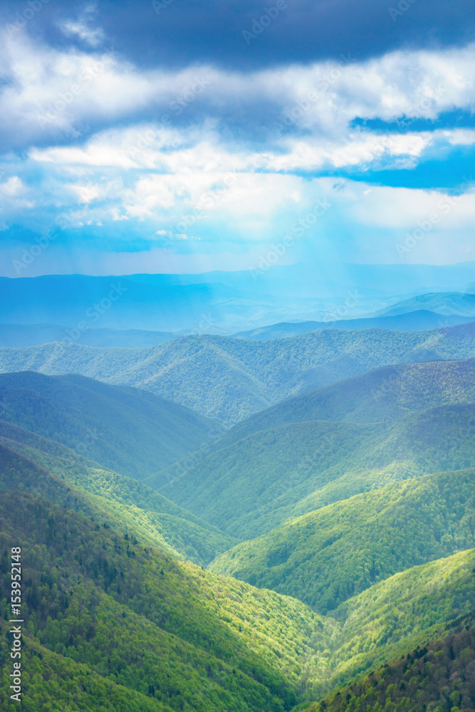 Nature Wallpaper Vertical