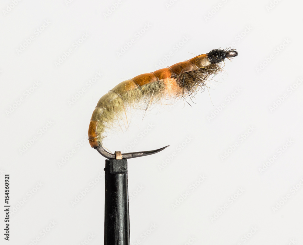 fly for fishing on a white background Photos | Adobe Stock