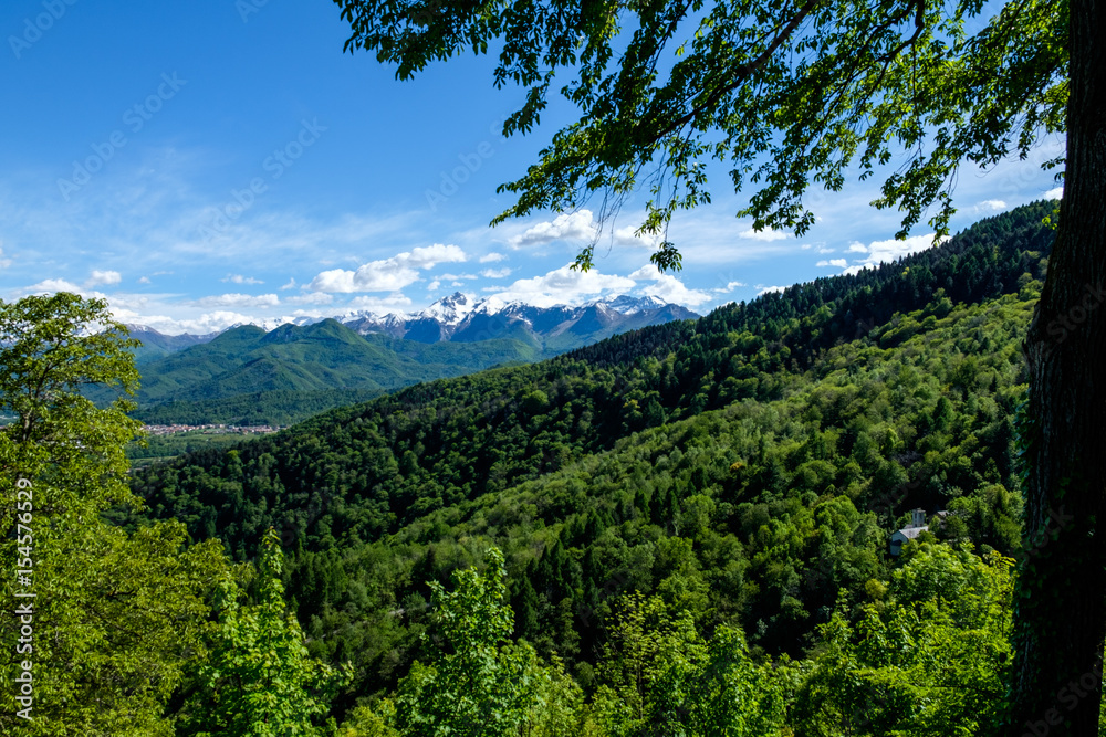 South view of piedmontese alps with snowy mountains and woods in spring ...