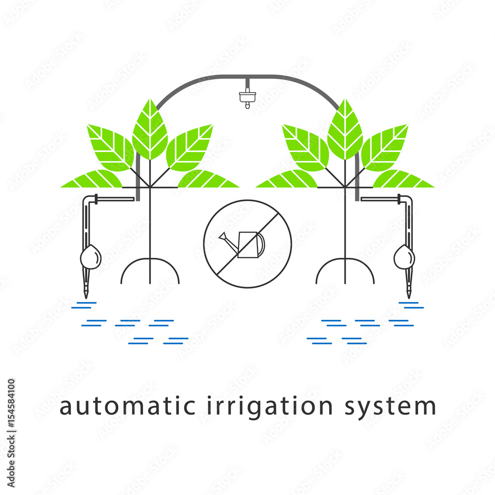 Drip irrigation system. Linear infographics. Stock Vector | Adobe Stock