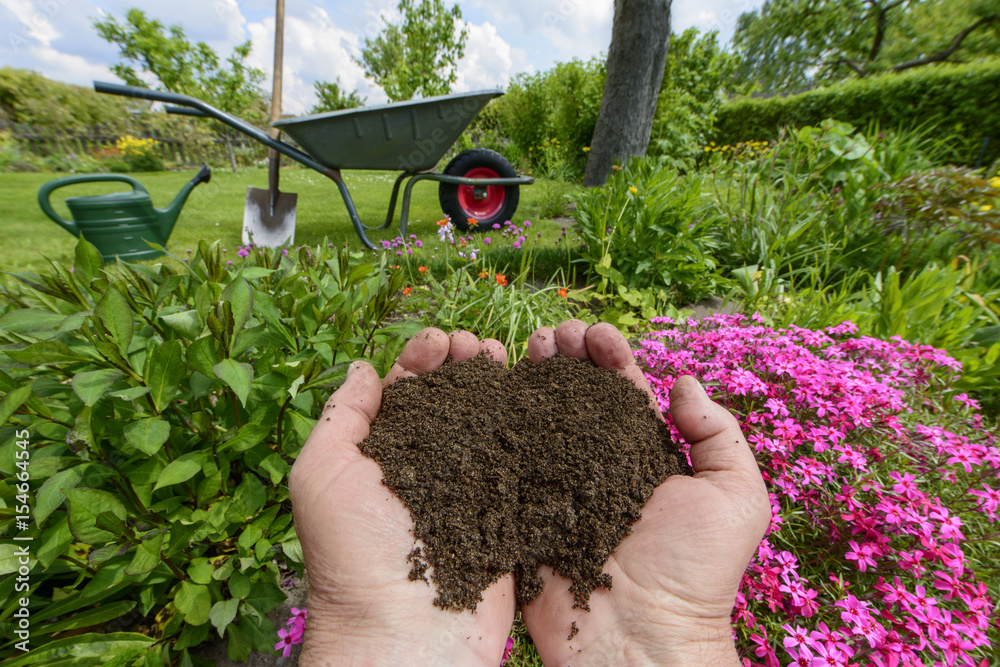 Komposterde in der Hand - Dünger für den Garten Stock Photo | Adobe Stock