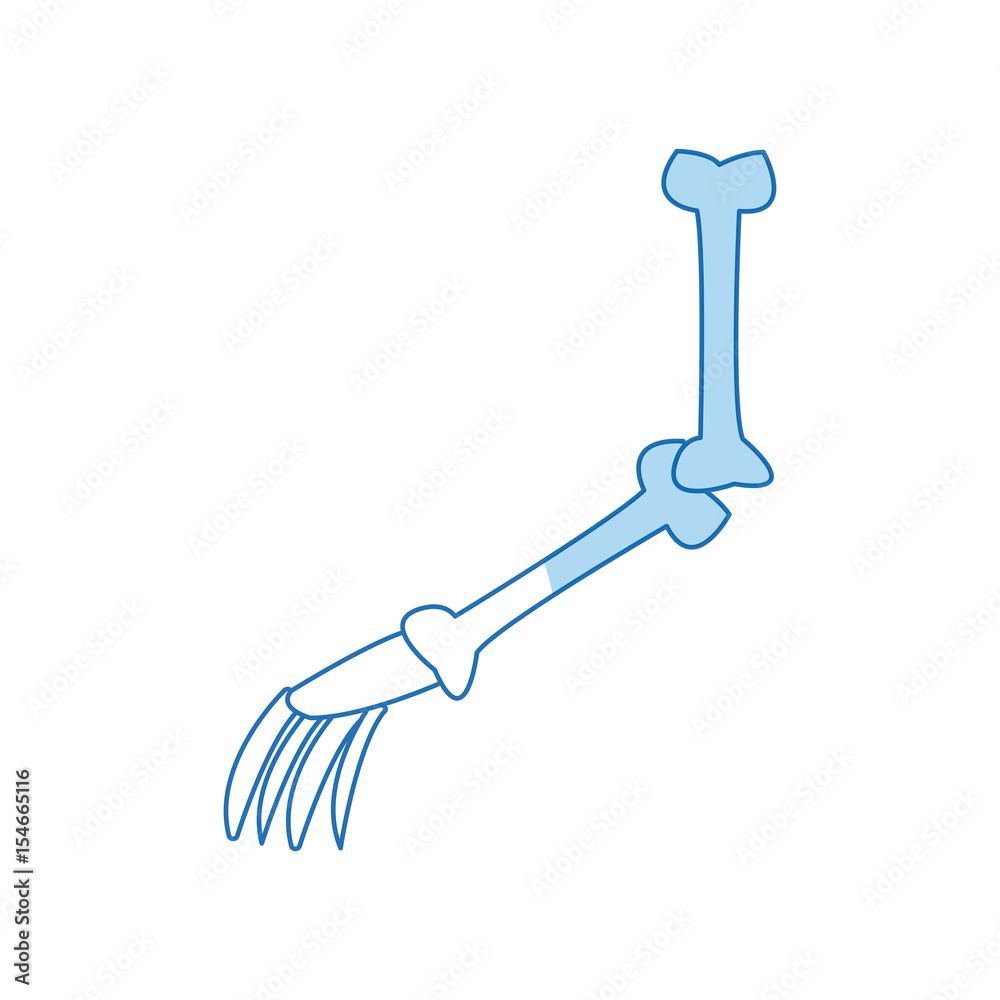 cartoon arm bone human part image vector illustration Stock Vector ...
