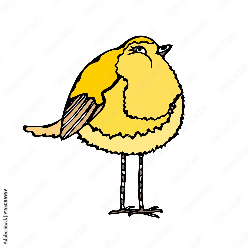 Yellow Canary Drawing