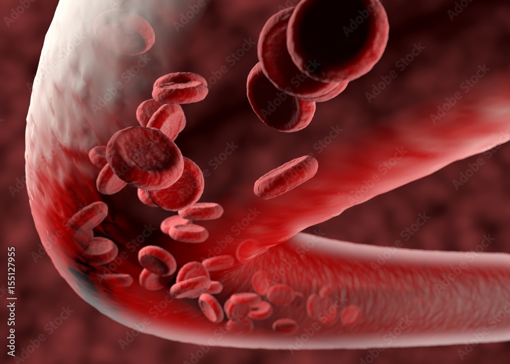 Blood vessel with flowing blood cells. 3D illustration Stock ...