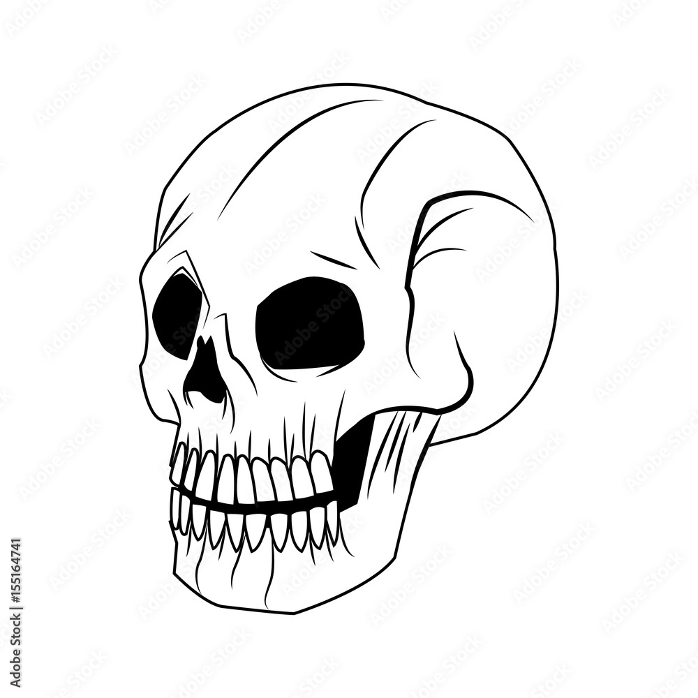 skeleton of the human head, vintage bone vector illustration Stock ...